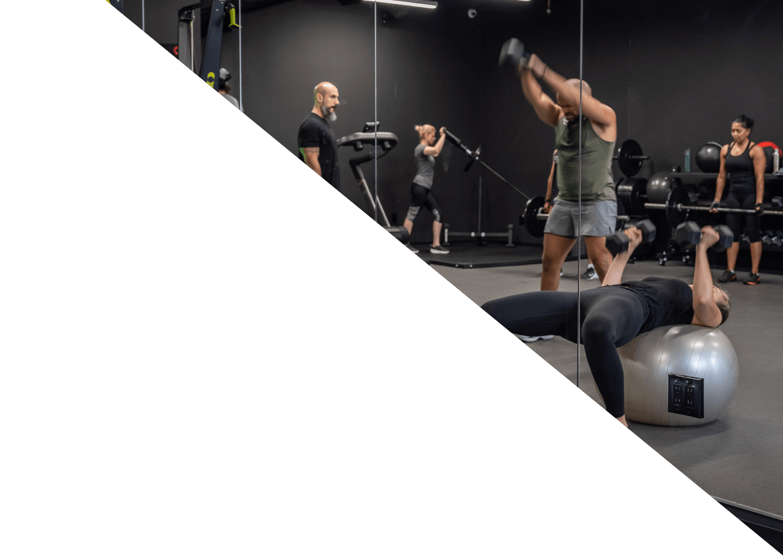 Homepage - ForteLab NYC